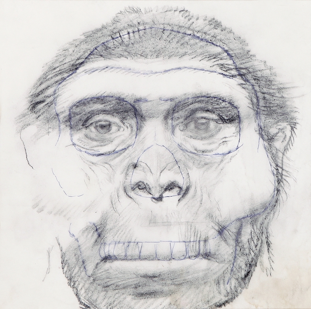 Zdeněk Burian | HOMO ERECTUS ERECTUS (STUDIE (1977) | MutualArt