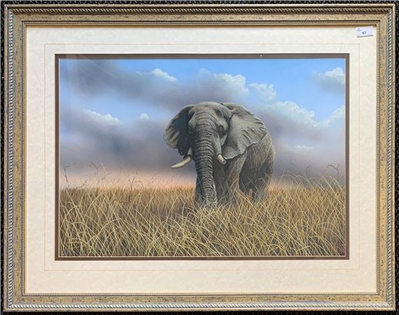 Peter Jepson | 'Letaba' | MutualArt