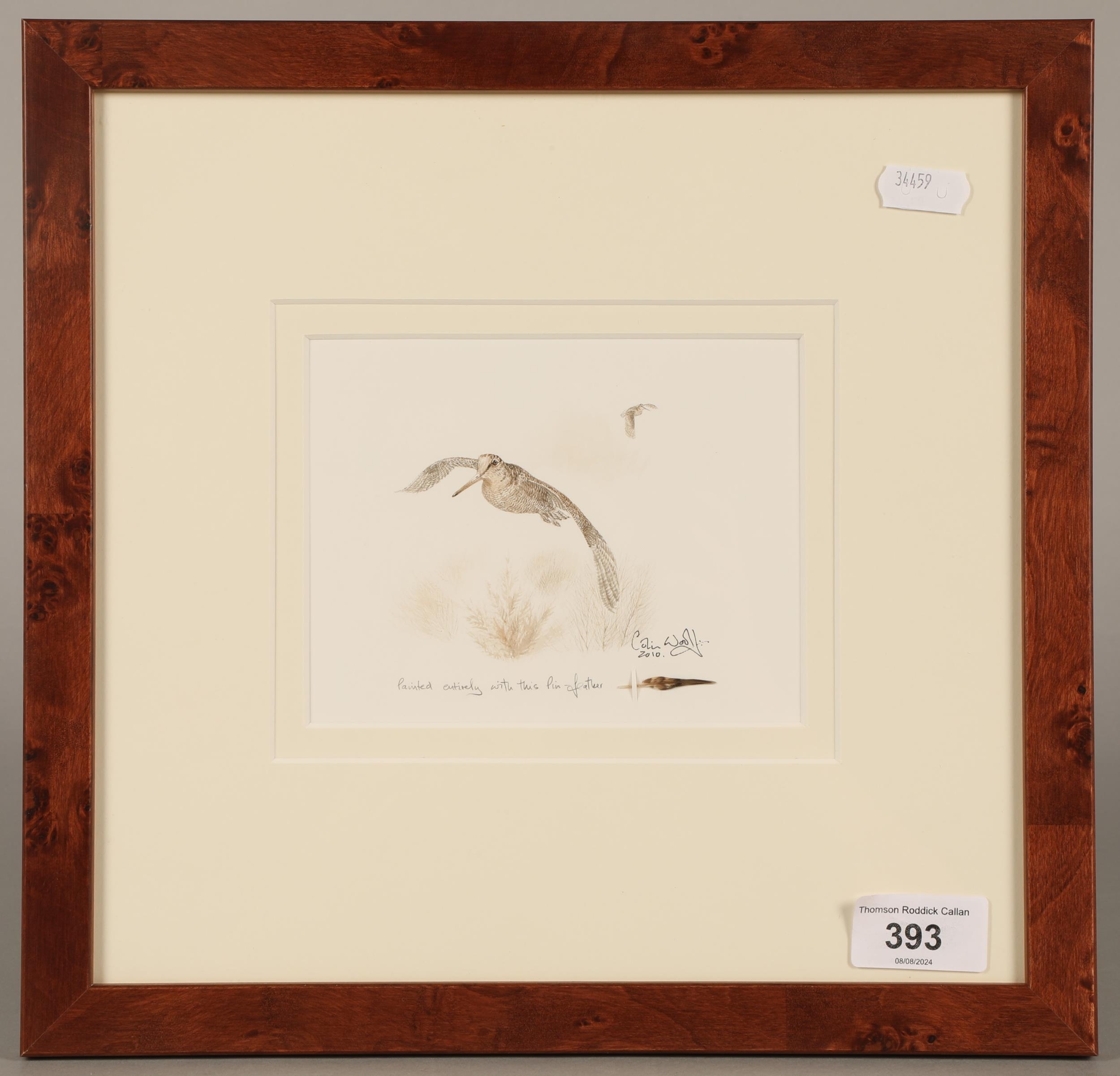 Colin Woolf | Bird in flight | MutualArt