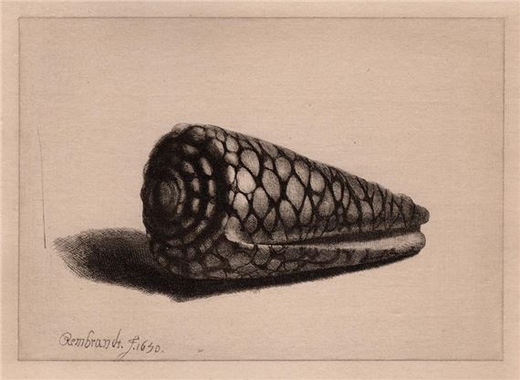 Rembrandt van Rijn | REMBRANDT 1800s Etching B159 The Shell Signed ...