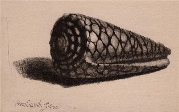 Rembrandt van Rijn | REMBRANDT 1800s Etching B159 The Shell Signed ...