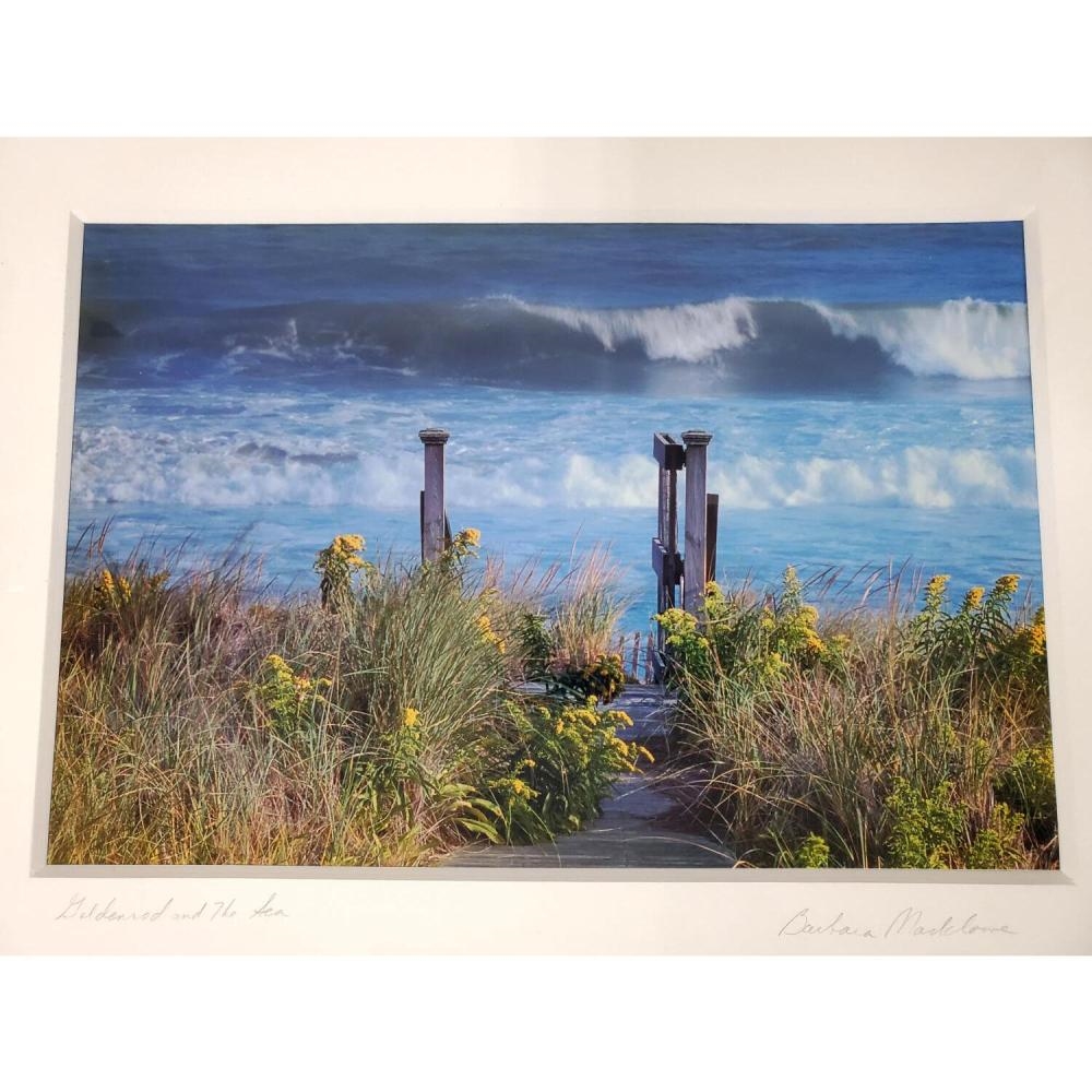 Barbara Macklowe | Barbara Macklowe Signed Photograph | MutualArt