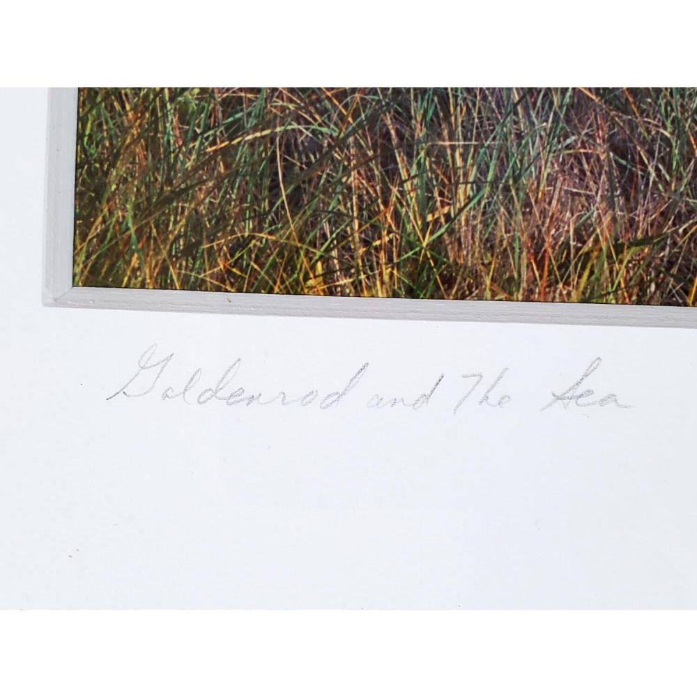 Barbara Macklowe | Barbara Macklowe Signed Photograph | MutualArt