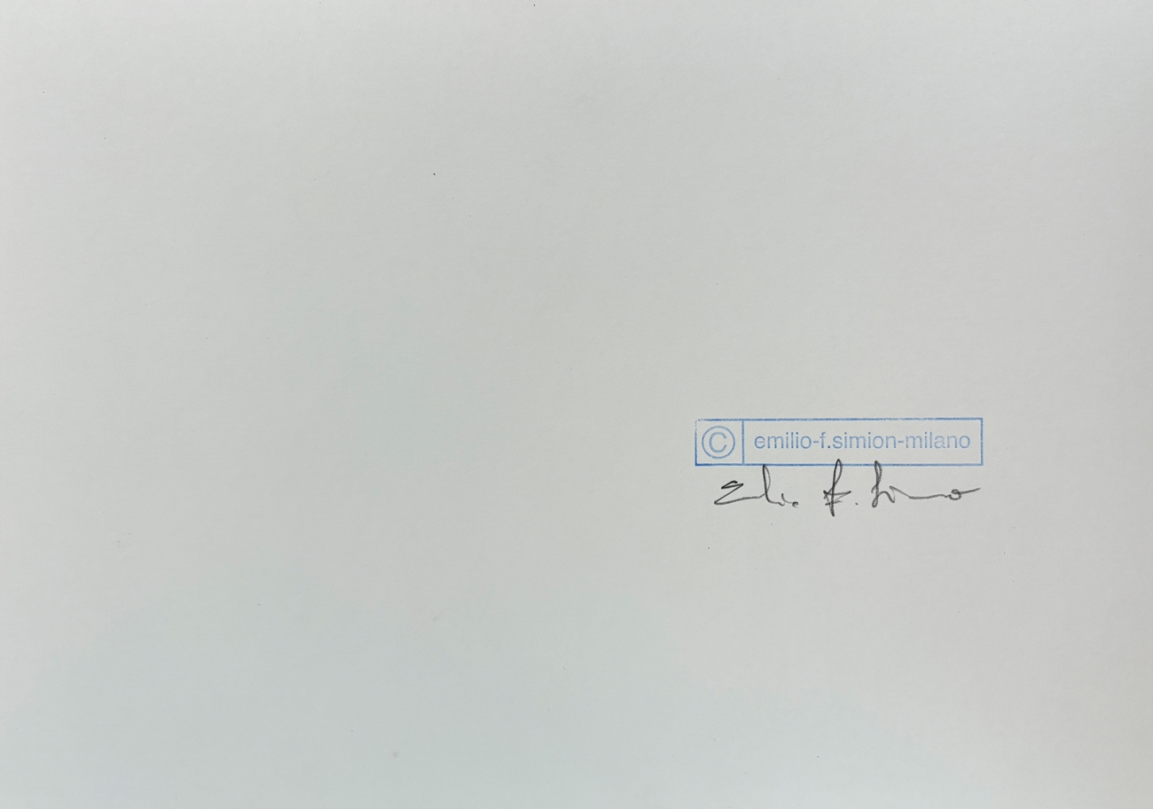 Emilio Fabio Simon | Performance di Hermann Nitsch | MutualArt