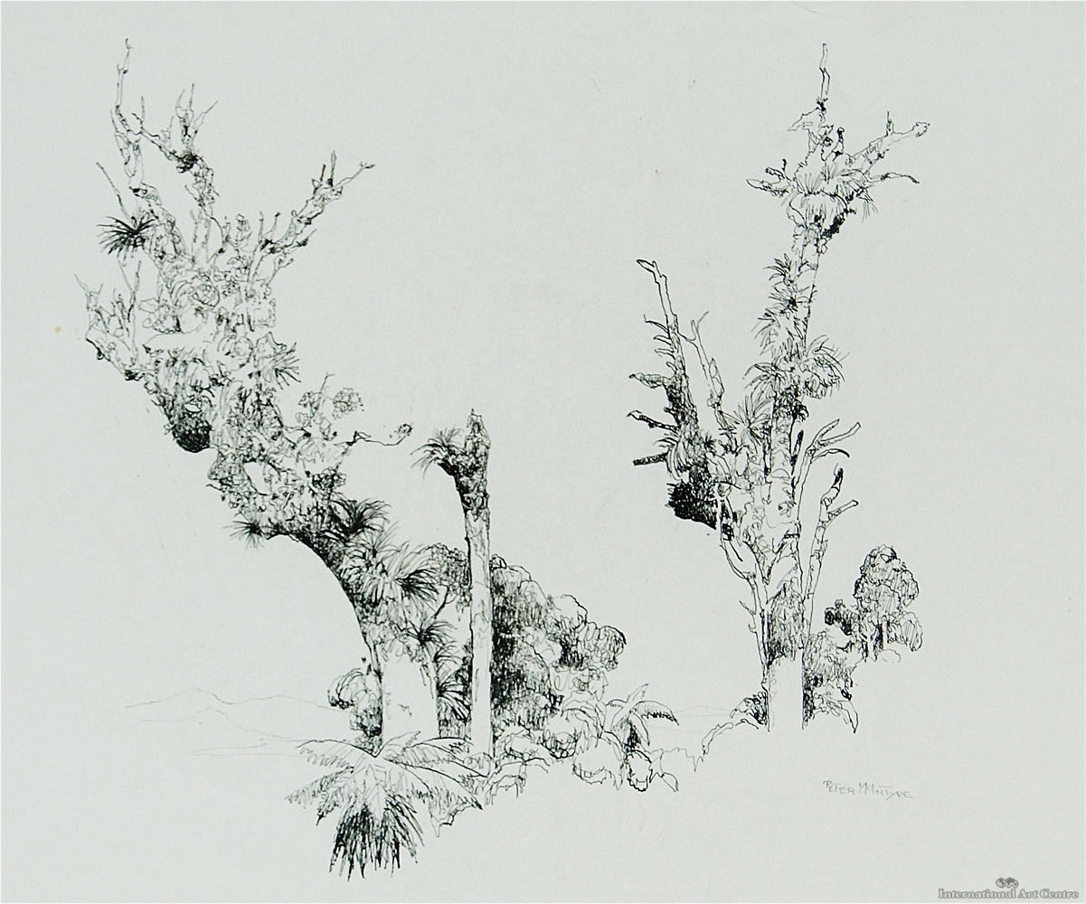 Peter McIntyre | King Country Study, 1980 (1980) | MutualArt