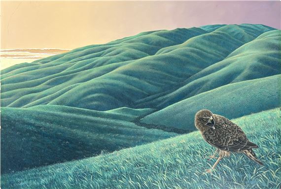 Geoff Williams | Harrier Hawk | MutualArt