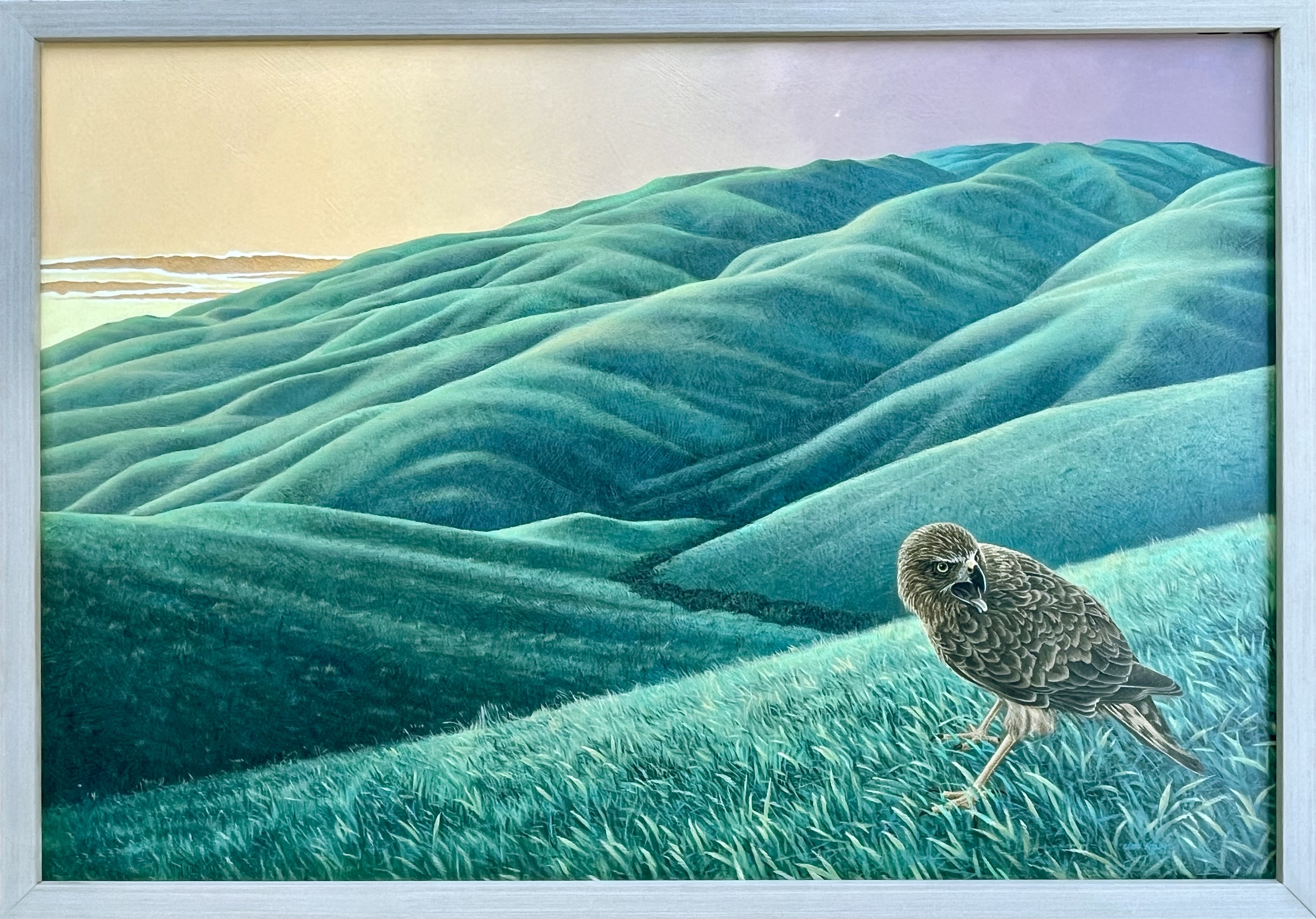 Geoff Williams | Harrier Hawk | MutualArt