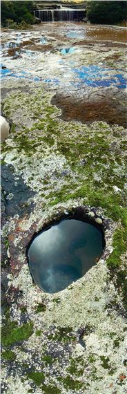 Richard Morecroft | 1 Artworks | MutualArt