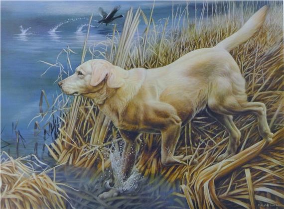 Barry L. Driscoll | DRISCOLL, BARRINGTON LIONEL 'BARRY' (1926-2006 ...