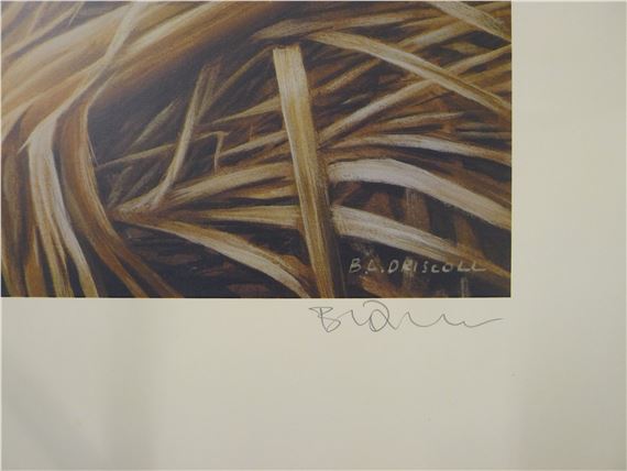 Barry L. Driscoll | DRISCOLL, BARRINGTON LIONEL 'BARRY' (1926-2006 ...