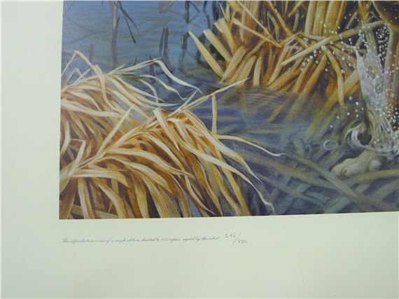 Barry L. Driscoll | DRISCOLL, BARRINGTON LIONEL 'BARRY' (1926-2006 ...