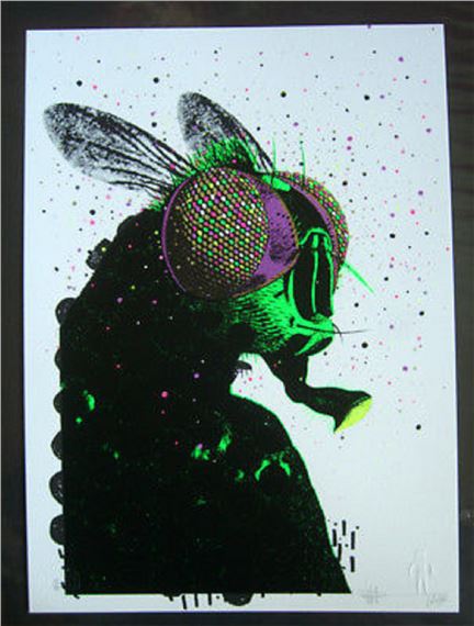 Paul Insect | Fly (2010) | MutualArt