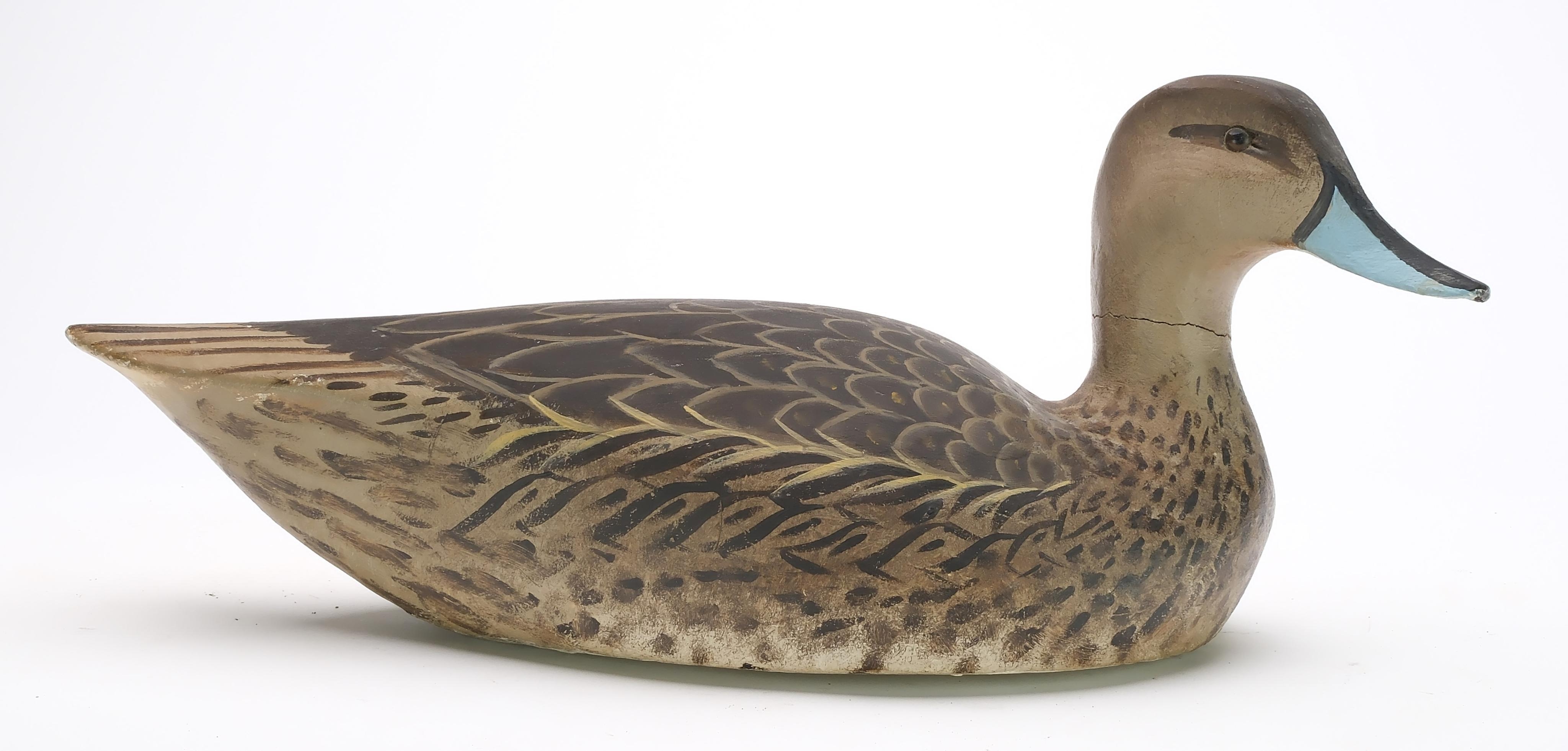 Lemuel T. Ward | Pintail hen | MutualArt