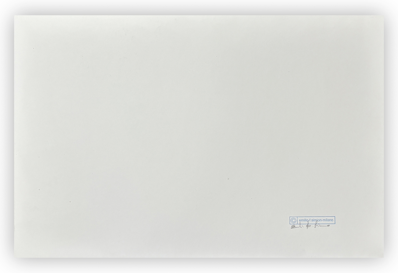 Emilio Fabio Simon | Performance di Hermann Nitsch | MutualArt