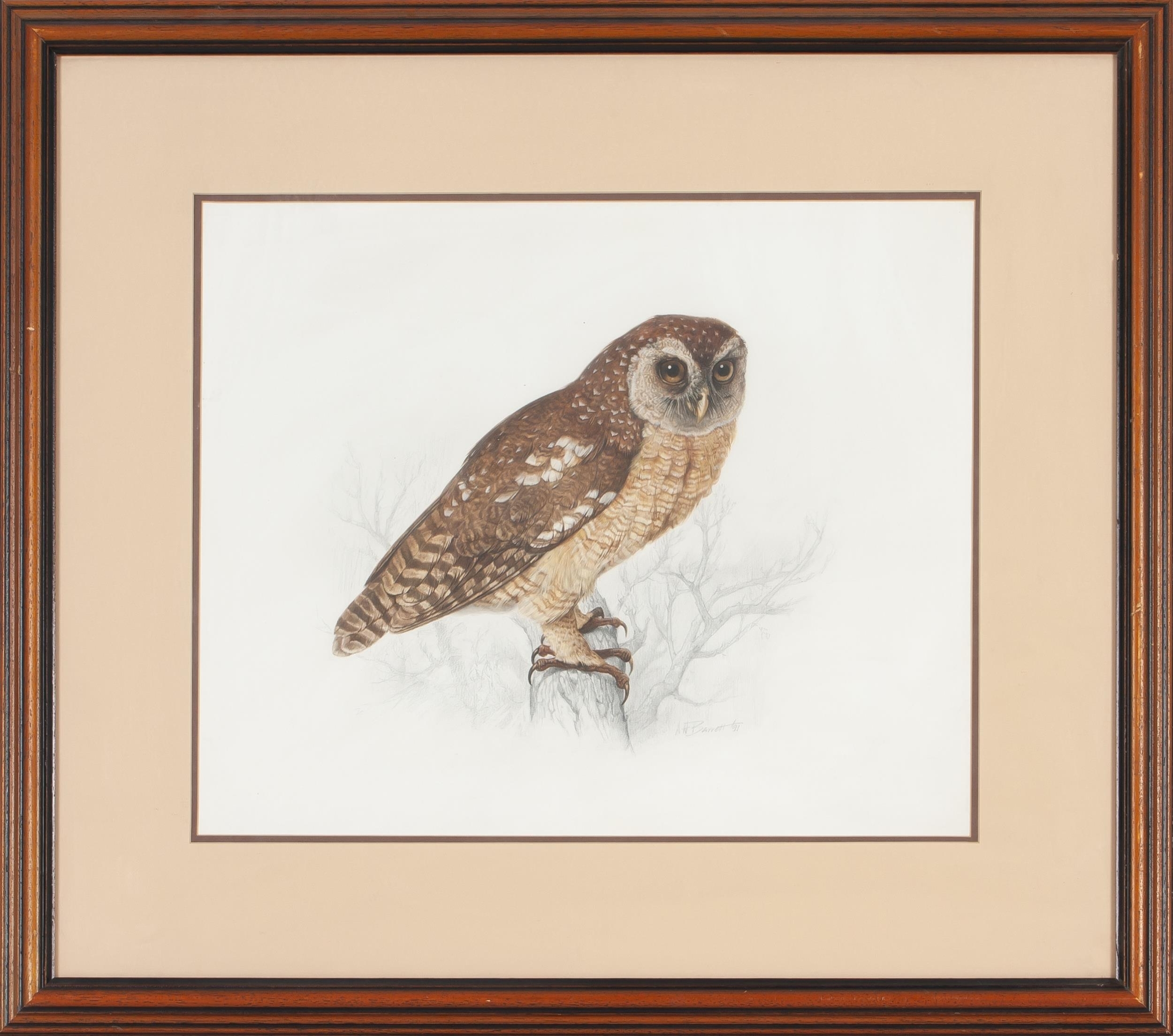 Arthur Howard Barrett | Arthur Howard Barrett (South African 1916 ...