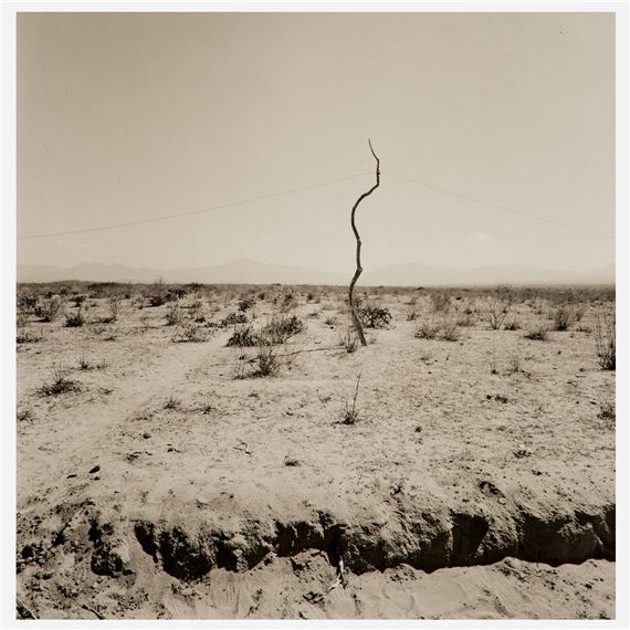 John W. Gutowski | John Gutowski Untitled Gelatin Silver Print | MutualArt