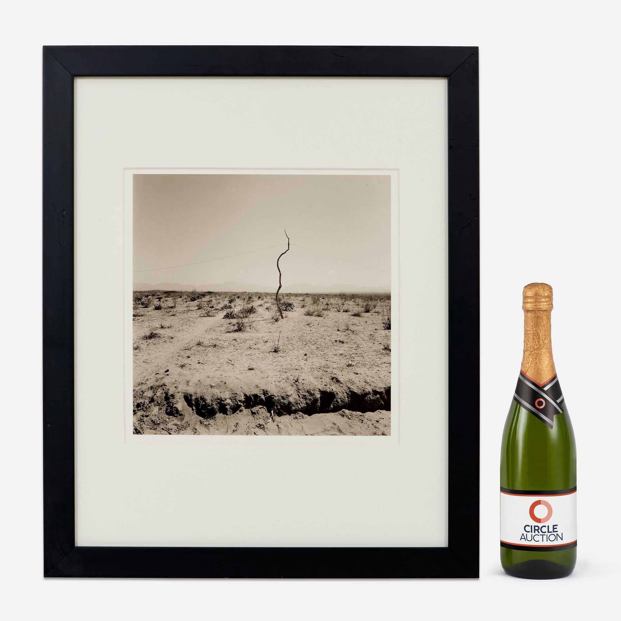 John W. Gutowski | John Gutowski Untitled Gelatin Silver Print | MutualArt