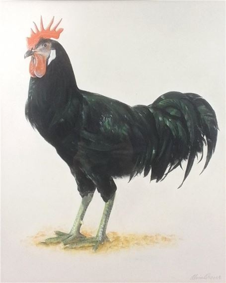Alvin Drover | Minorca Rooster | MutualArt