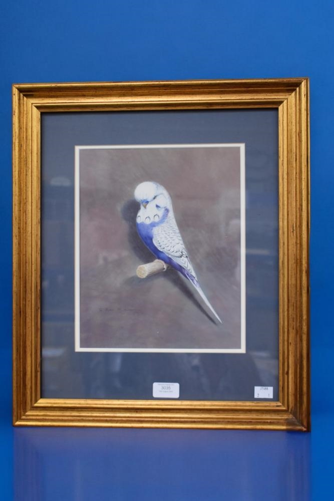 Alan M. Hunt | Rainbow Bird, a bee-eater (2013) | MutualArt