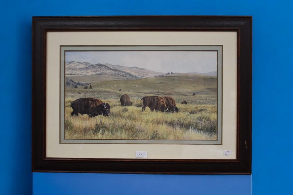 Alan M. Hunt | Rainbow Bird, a bee-eater (2013) | MutualArt