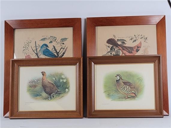 Arthur B. Singer | 4 Vintage Bird Prints | MutualArt