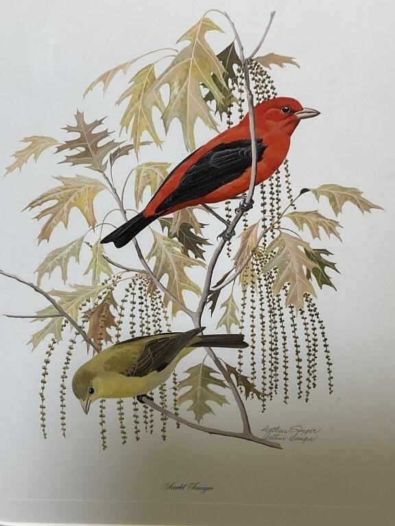 Arthur B. Singer | 3 Arthur Singer Bird Prints | MutualArt