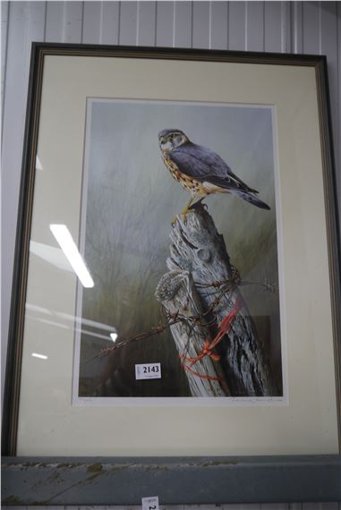 Terance James Bond | A limited edition of a Merlin by Terence James ...