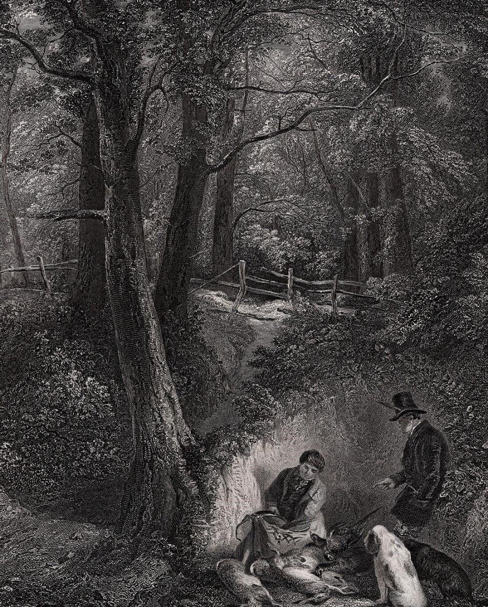 Frederick Richard Lee | 1800s Frederick Richard Lee Engraving The Cover ...