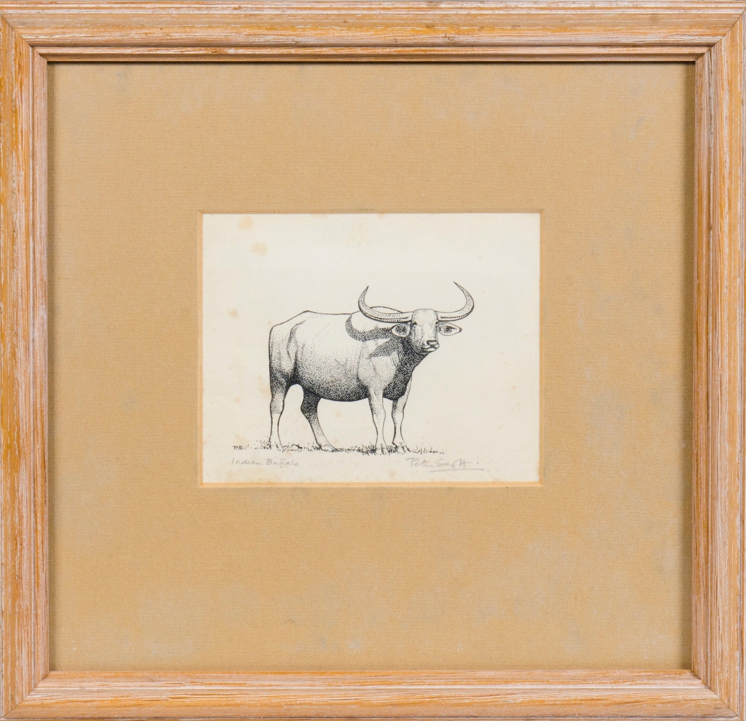 Peter Scott | A Peter Scott signed print of an Indian buffalo contained ...