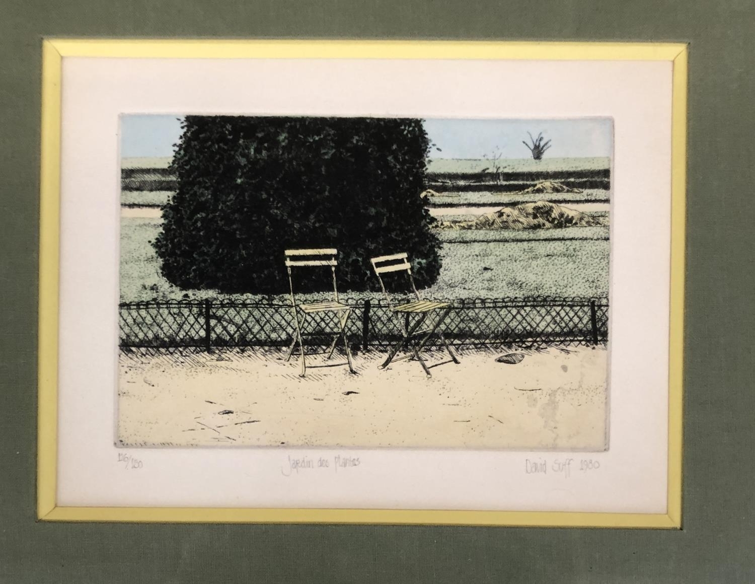 David Suff | Jardin de Plantes (1980) | MutualArt