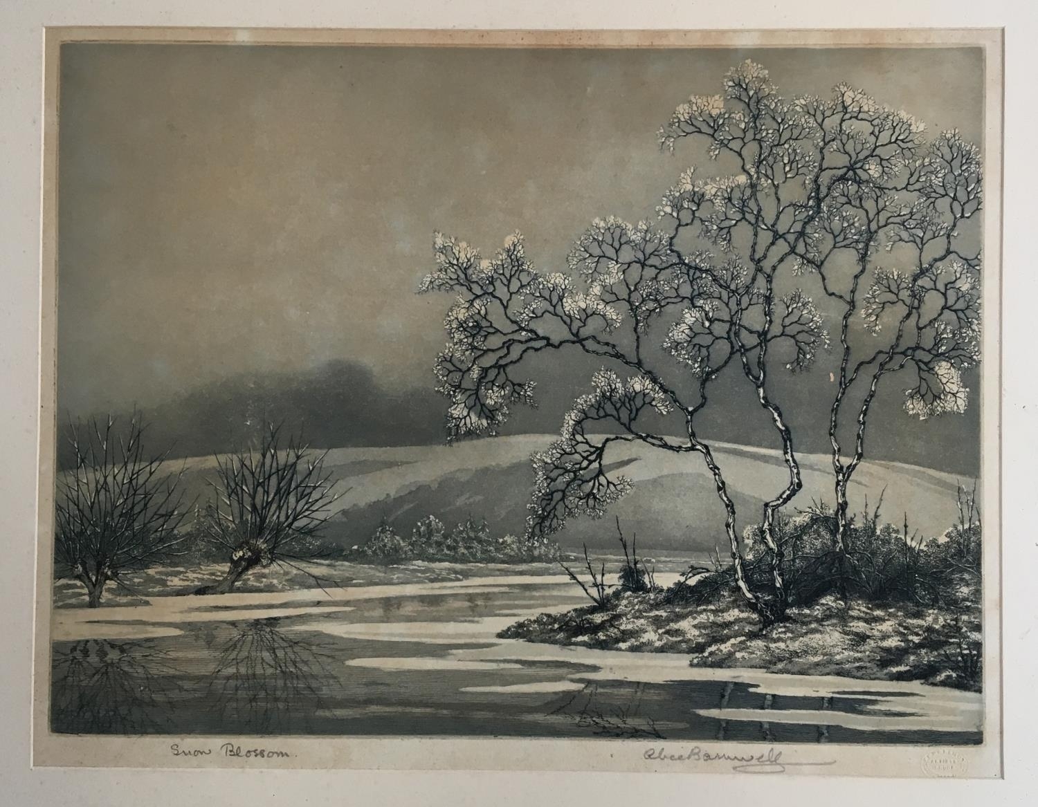 Alice Barnwell | Snow blossom | MutualArt