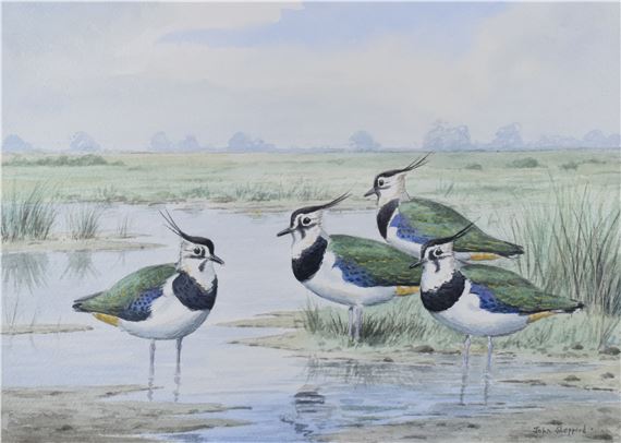 John Shepherd | John Shepperd watercolour four wading birds in a marsh ...
