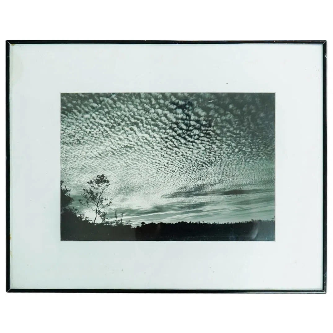 Clyde Butcher | Everglades Landscape (1987) | MutualArt