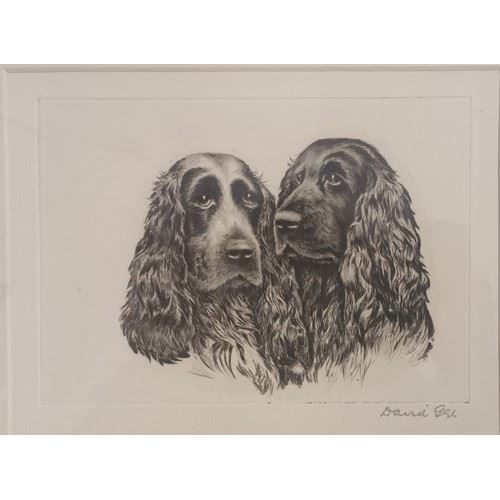 David Gee | David Gee Original etching | MutualArt