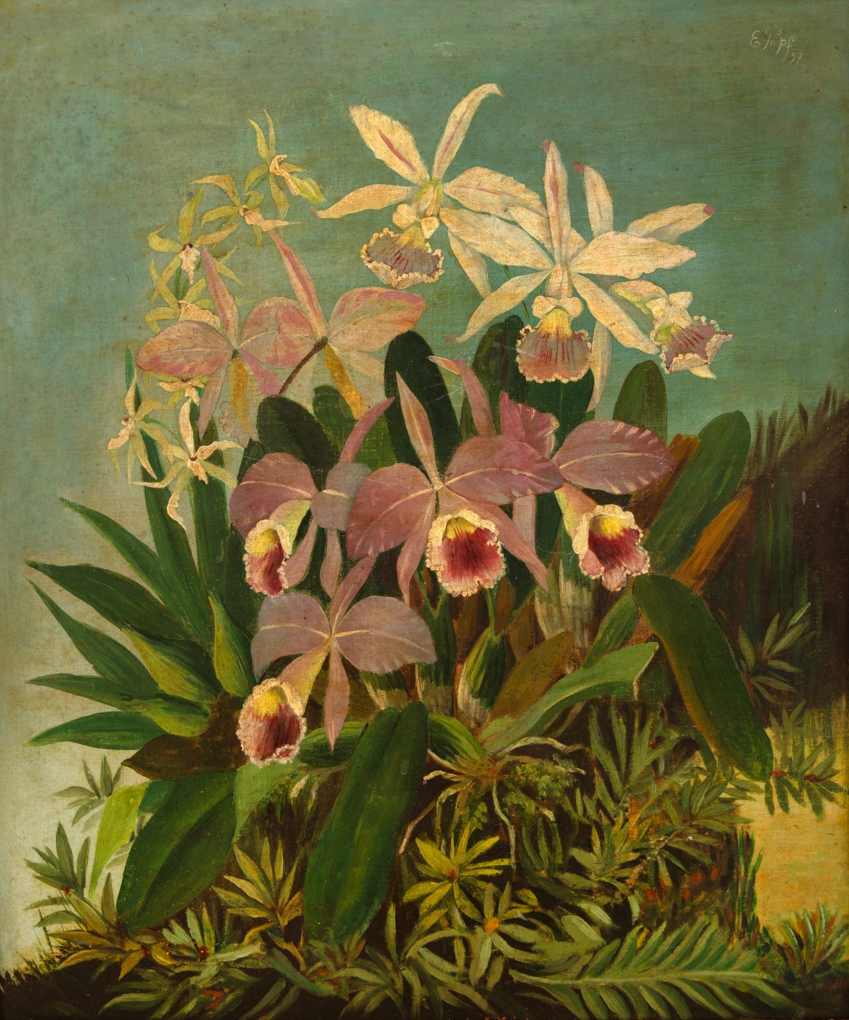 Karl Ernest Papf | Orquídeas Brasileiras | MutualArt