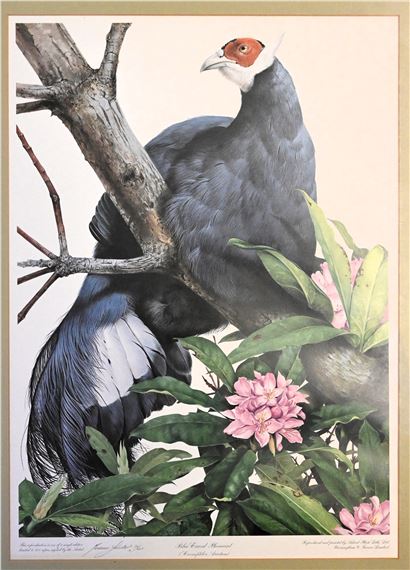 Terence Lambert | Terence Lambert limited lithographic print study of a ...