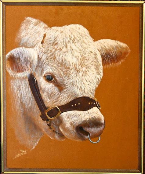 Norm Blackburn | portrait of a Charolais Bull (1988) | MutualArt