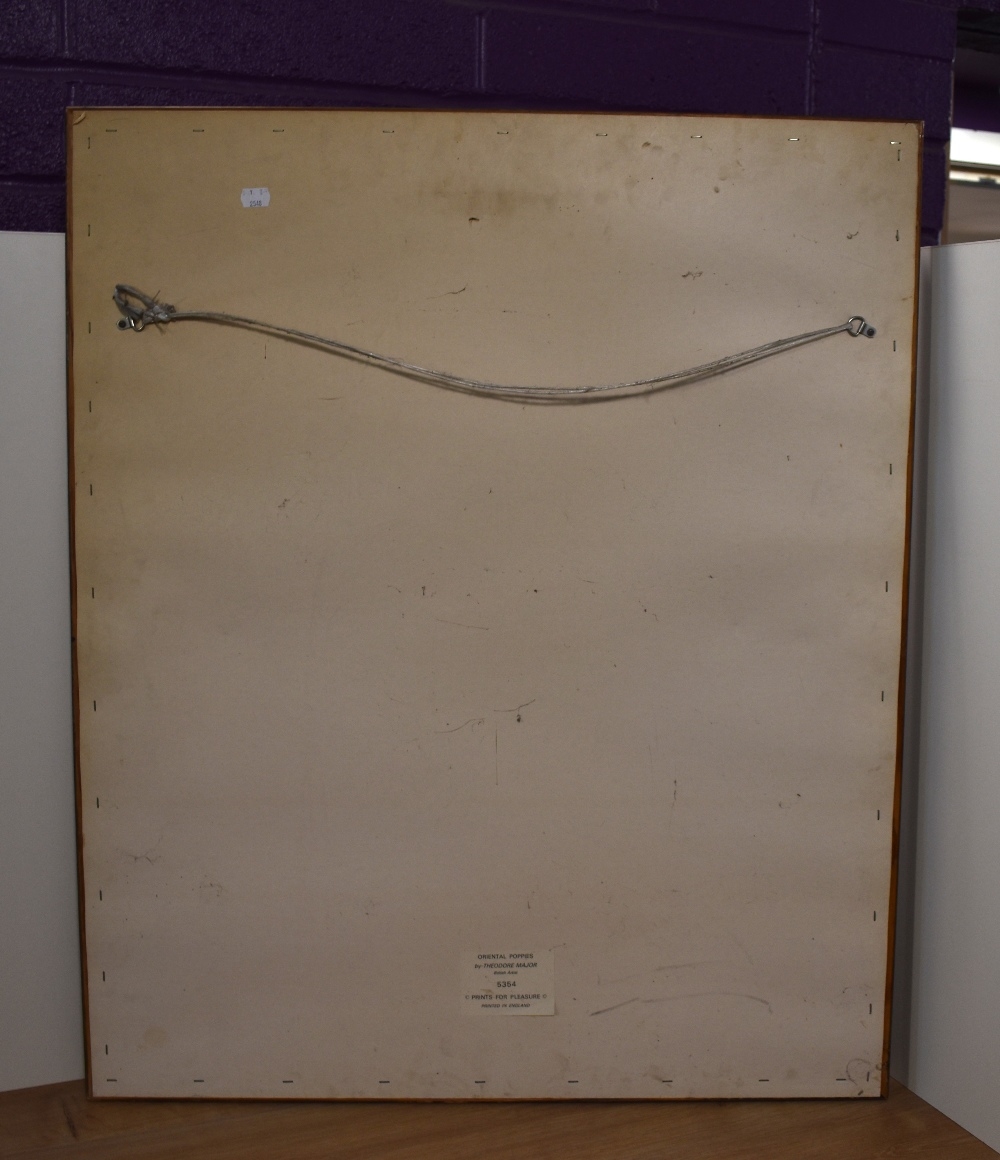 Theodore Major | Oriental Poppies | MutualArt