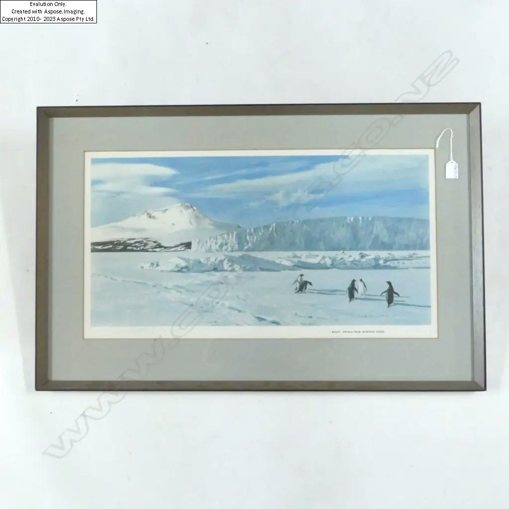 Keith Shackleton | MT. EREBUS FROM McMURDO SOUND (20th Century) | MutualArt