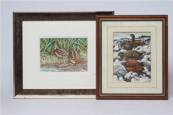 David Binns | Pair of Snipe | MutualArt