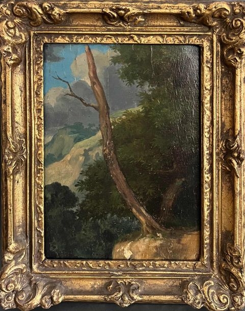 Théodore Rousseau | Tree on the hillside | MutualArt