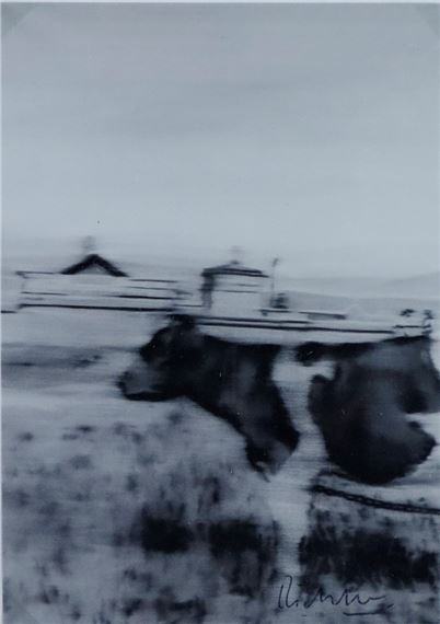 Gerhard Richter | Kuh II (1932) | MutualArt