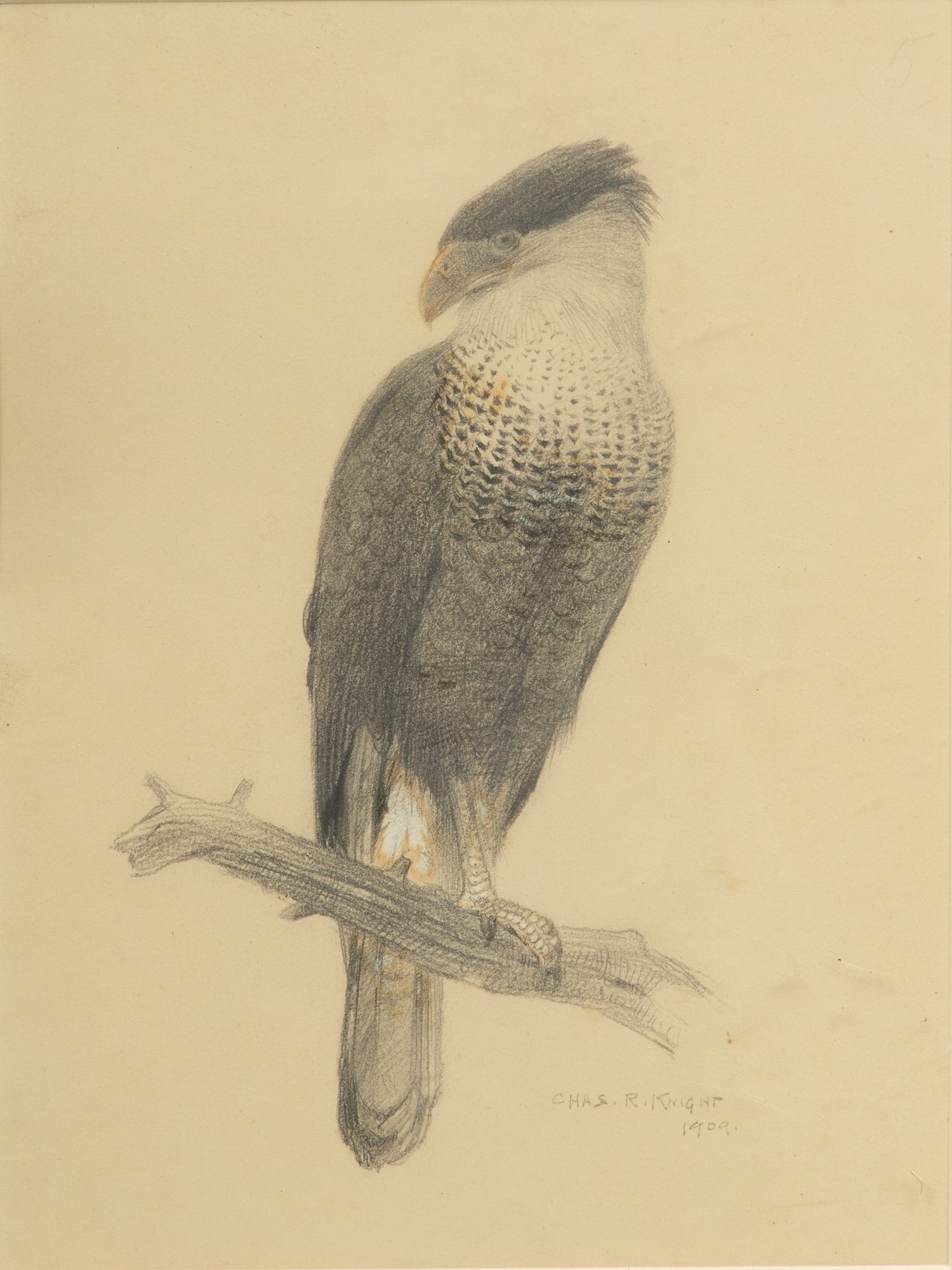 Charles R. Knight | Prehistoric Short Faced Bears and Glyptodon | MutualArt