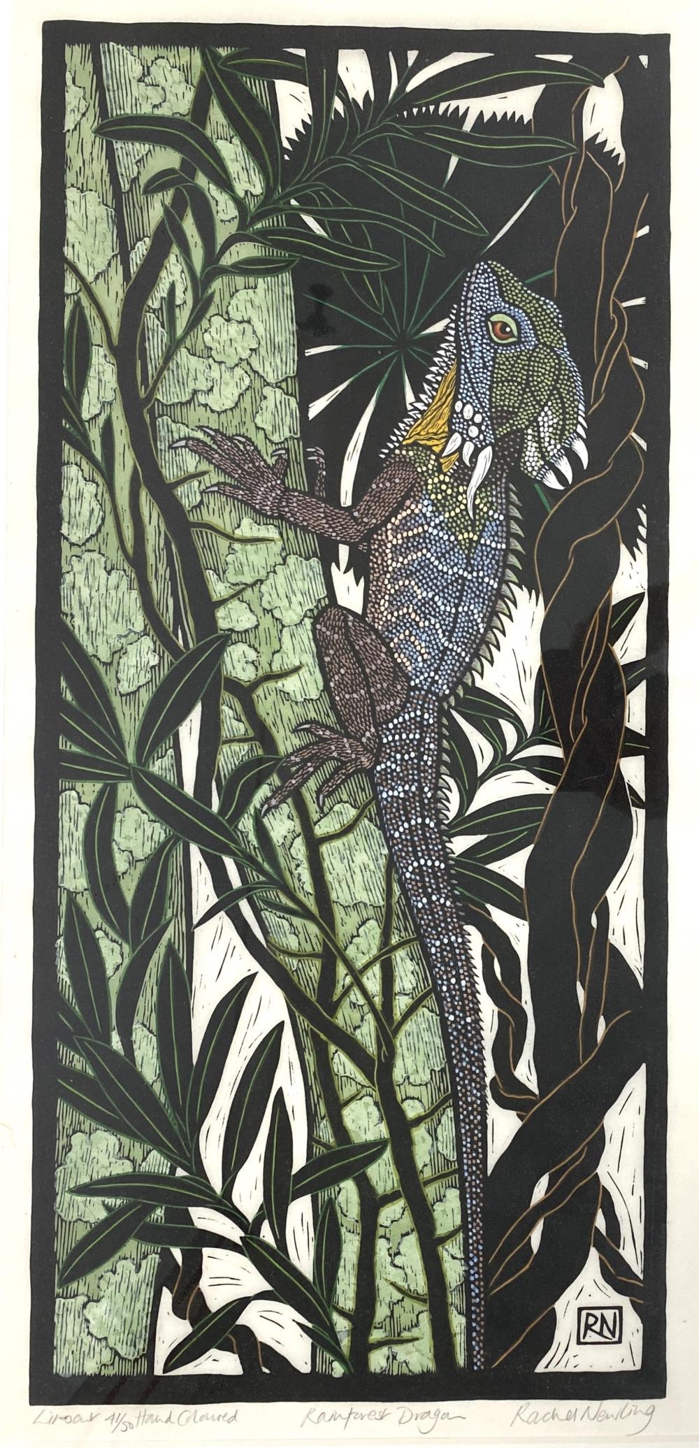 Rachel Newling | Rainforest Dragon | MutualArt