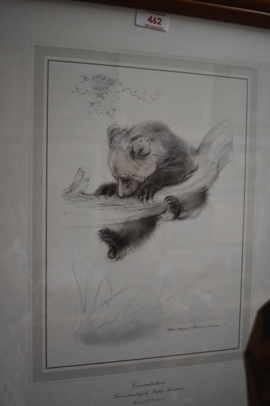 Ralph Thompson | Black and White Colobus Monkeys, Uganda | MutualArt