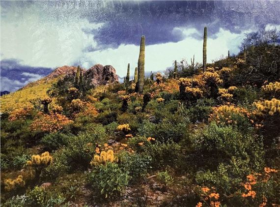 Robert Gertz | 1 Artworks | MutualArt