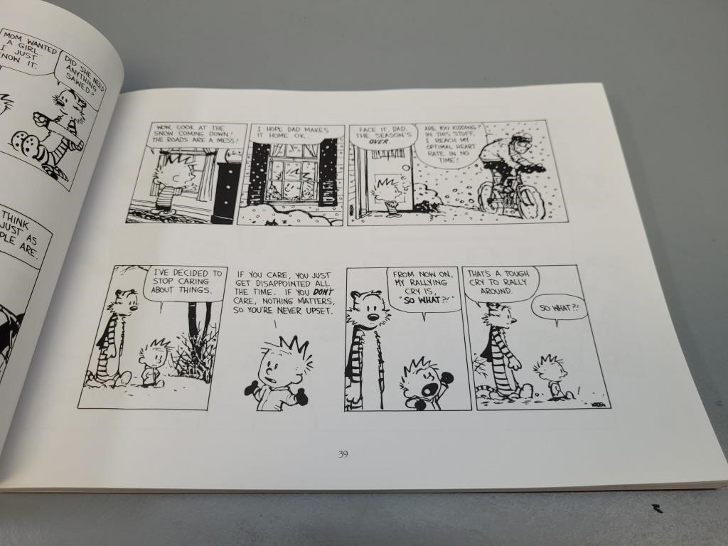 Bill Watterson | Calvin and Hobbes comics | MutualArt