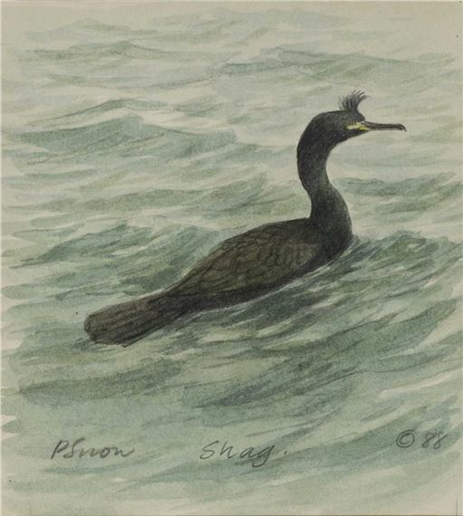 Philip Snow | Shag | MutualArt