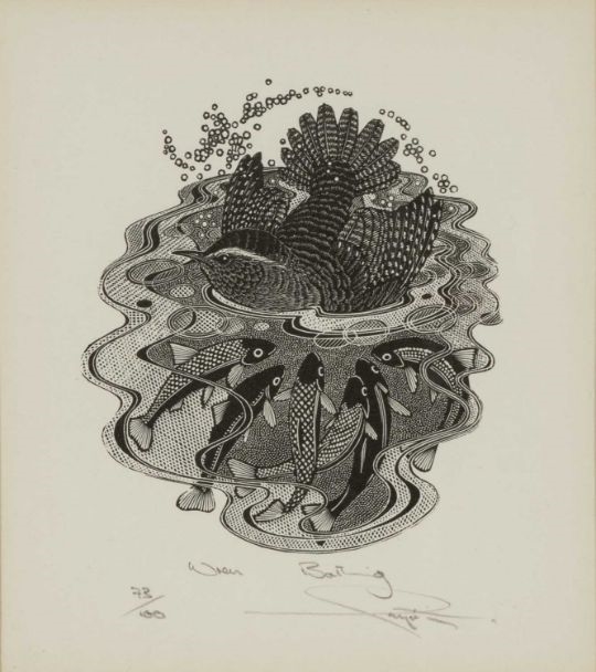 Colin See-Paynton | Wren Bathing | MutualArt