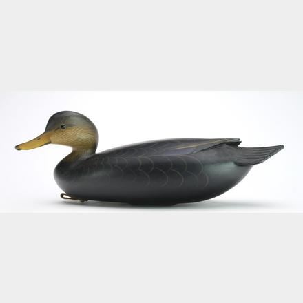 George Strunk | Black duck with crossed wingtips | MutualArt